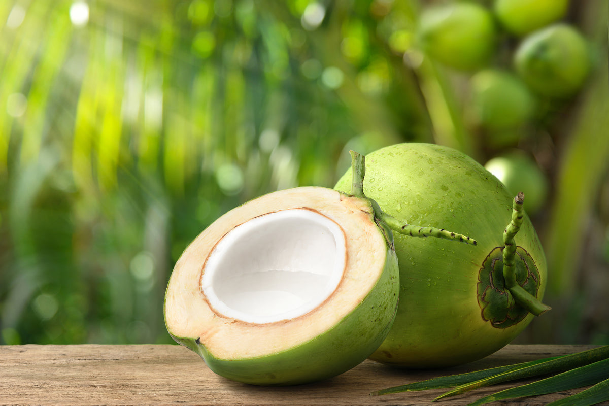 5 tips to make sure your Coconut products are top quality and ethicall ...